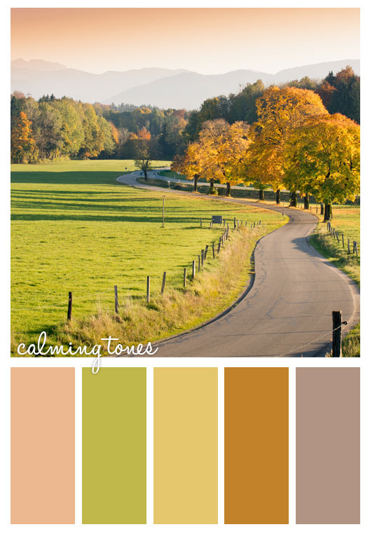 Calming Tones - Gold On The Ceiling