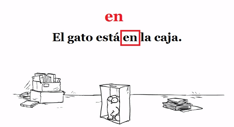Español por Skype: ¿Dónde está el gato? (A1, preposiciones)