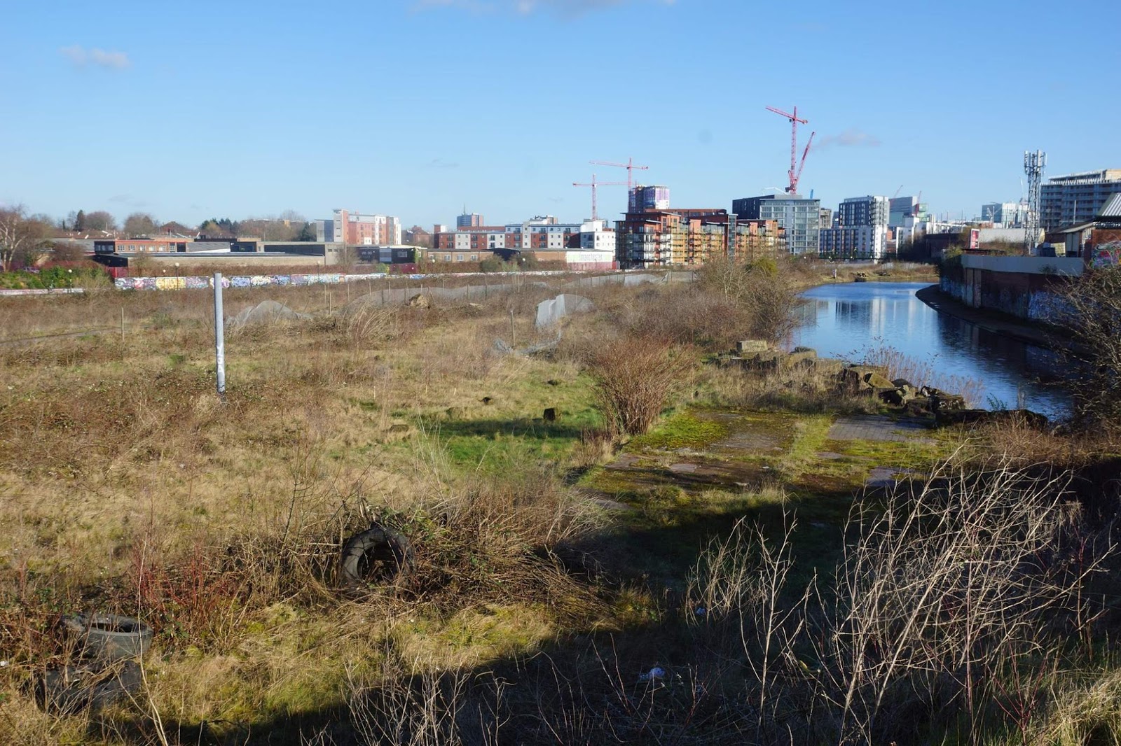 Stuart Marsden's Conservation Research Group: Pomona Island: ducks ...