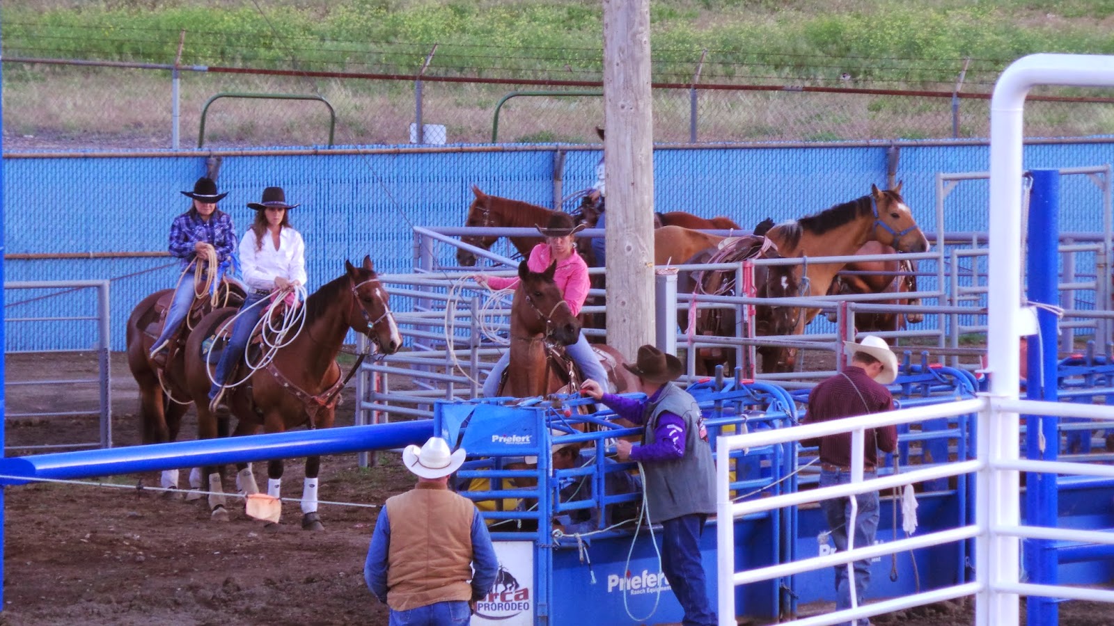 The Blighty-Boys: Cody Rodeo Night….them crazy cowboys!…Pic's & Video's