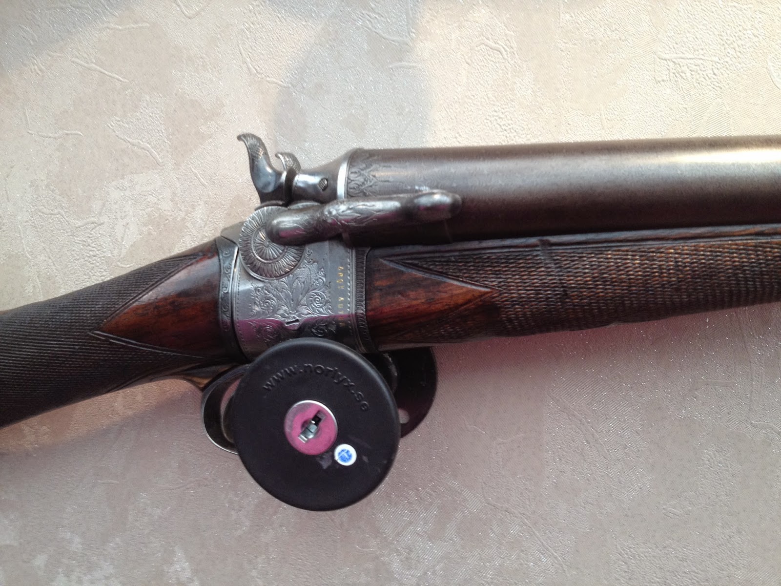 Stephen Bodio's Querencia: Unique action