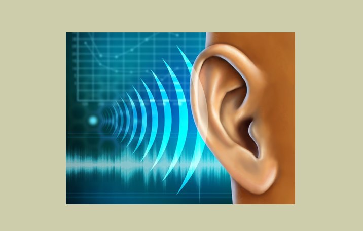 Telinga : Pengertian, Struktur, Fungsi, Bagian