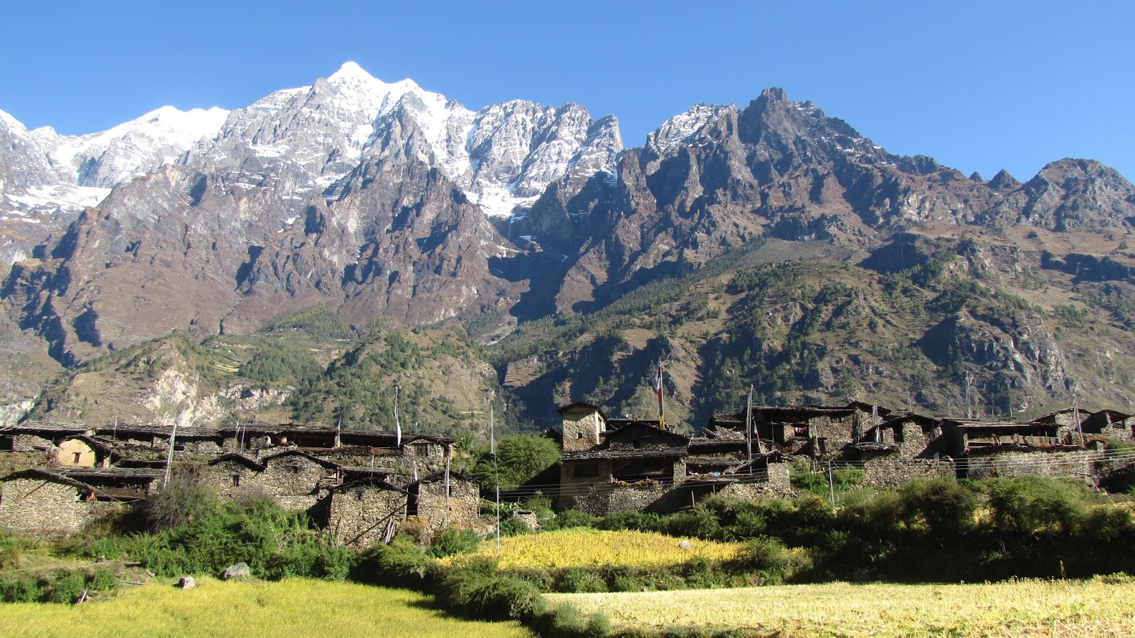 Msafiri Kyrea - The Blog: Domje to Nyak Phedi (fuelled by Tsampa and Raksi)