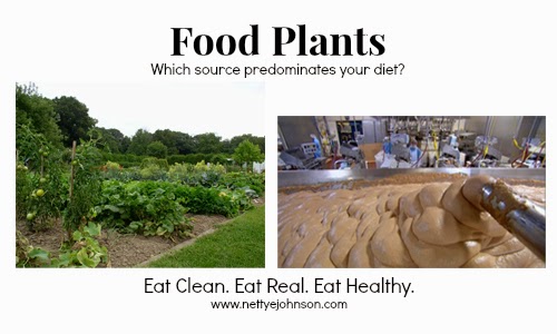 Food from Plants - Nettye Johnson | Education for Transformation