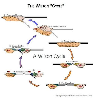 #Wilson_cycle The Wilson cycle. J. Tuzo Wilson
