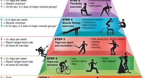 Infographic: Physical Activity Pyramid | Stomach Exercises Challenges
