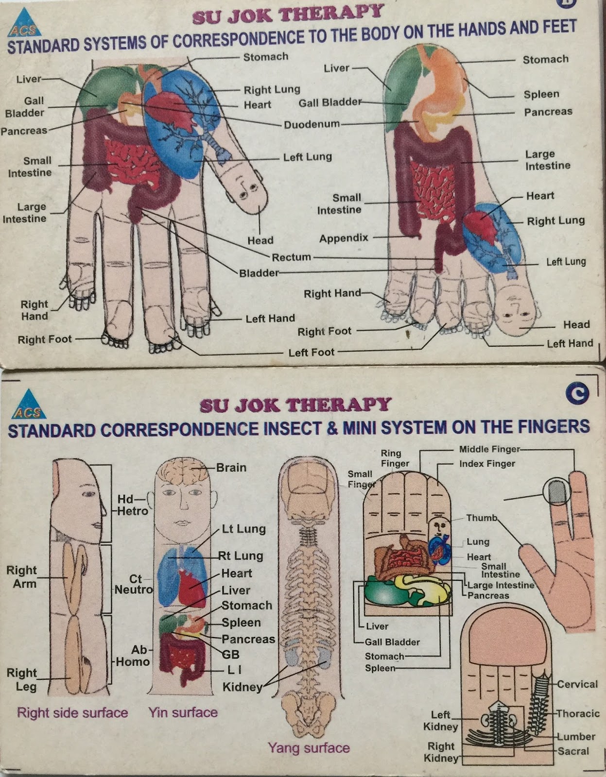 PABLOHEILPRAXIS: SU JOK
