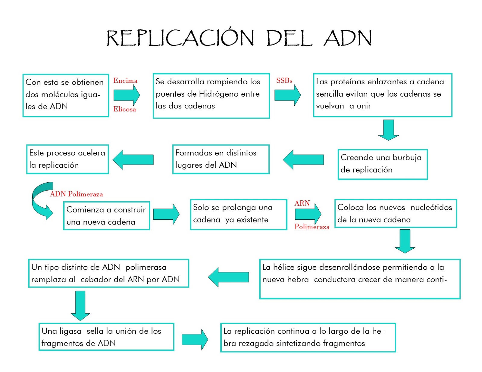 Mi Laberinto Cientifico (Portafolio de evidencias): Diagrama de flujo ...