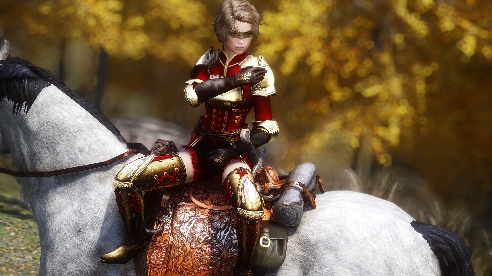 Ritter Armor UUNP (Idye)