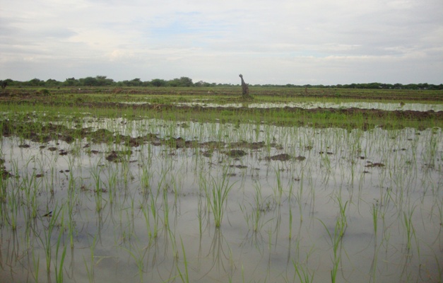 2012-01-01 ~ g sengo