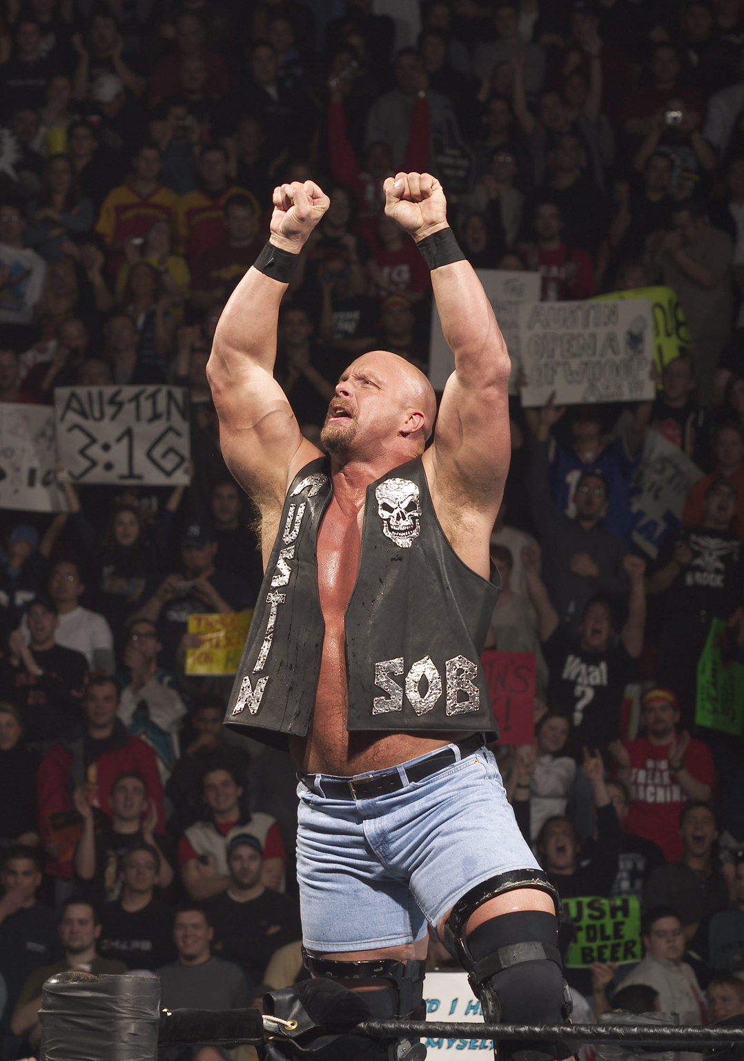 Stone Cold Steve Austin ~ ThE GamE
