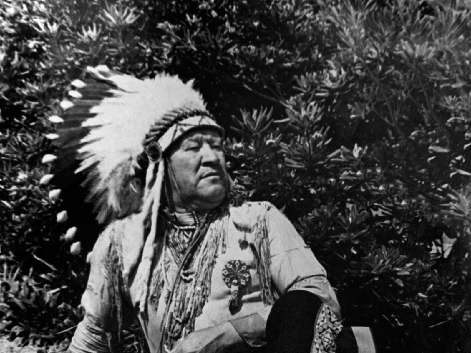 White Wolf : Jim Thorpe in Pictures: Greatest Athlete in History Was ...