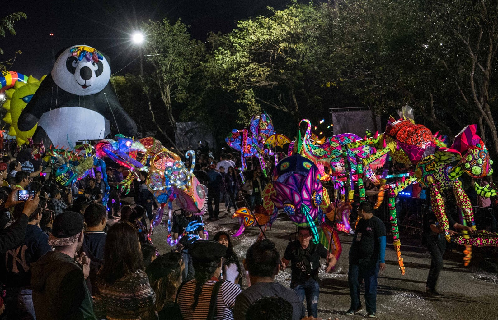 Oaxaca: Carnaval de Mérida