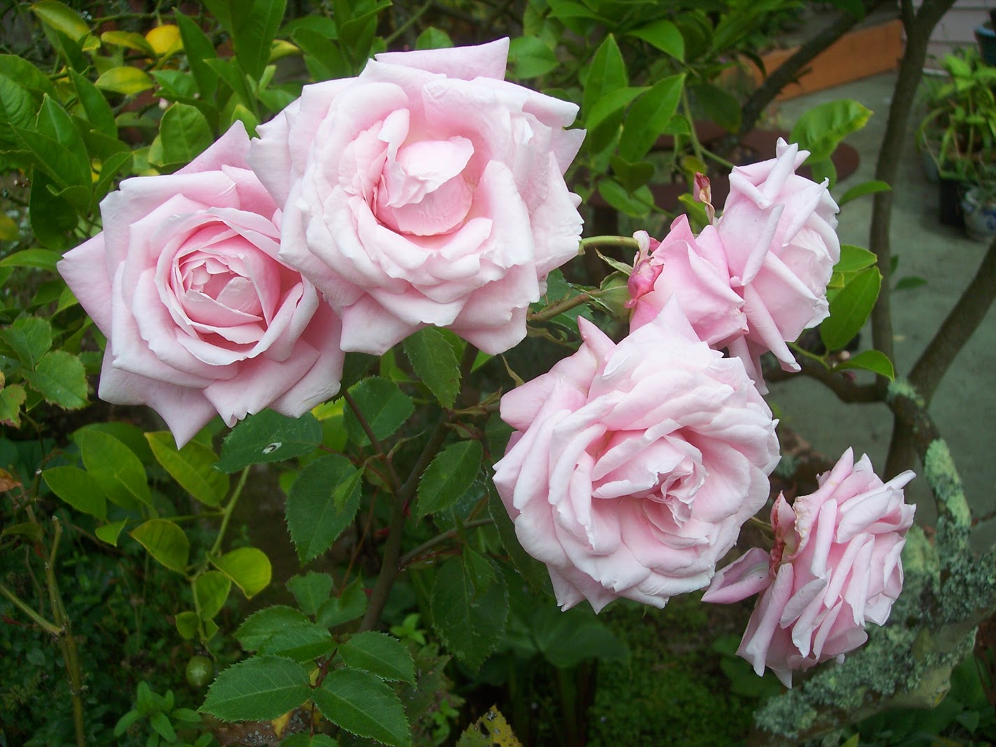 Mike and Phil on the Hill