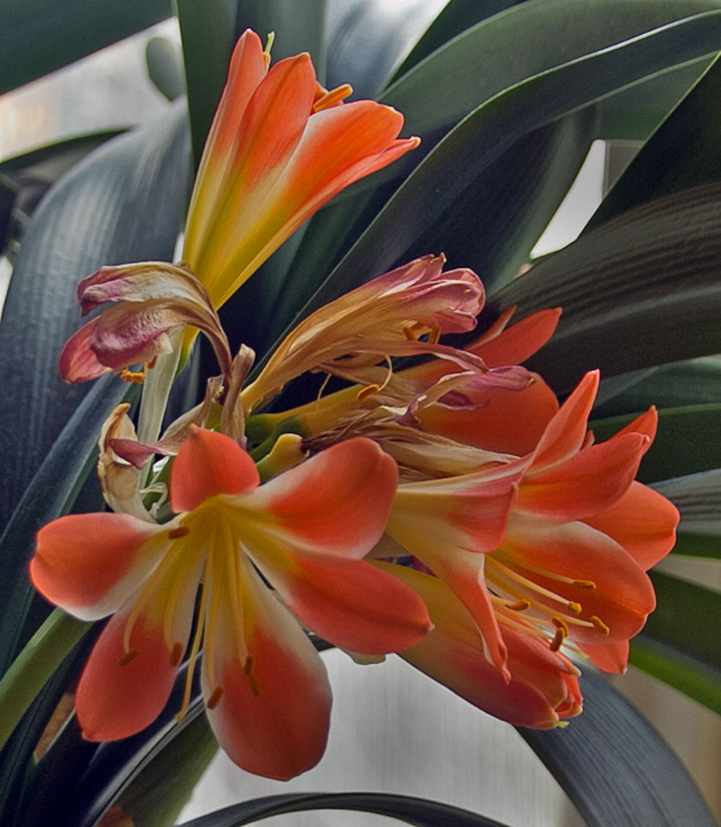 arkimietteitä: huhtikuuta 2016