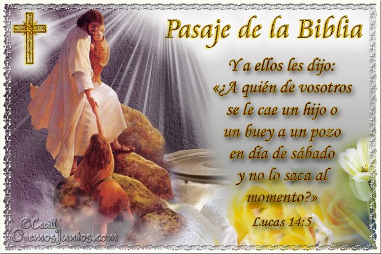 Vidas Santas: Santo Evangelio según san Lucas 14:5 Vidas Santas: Santo Evangelio según san Lucas 14:5