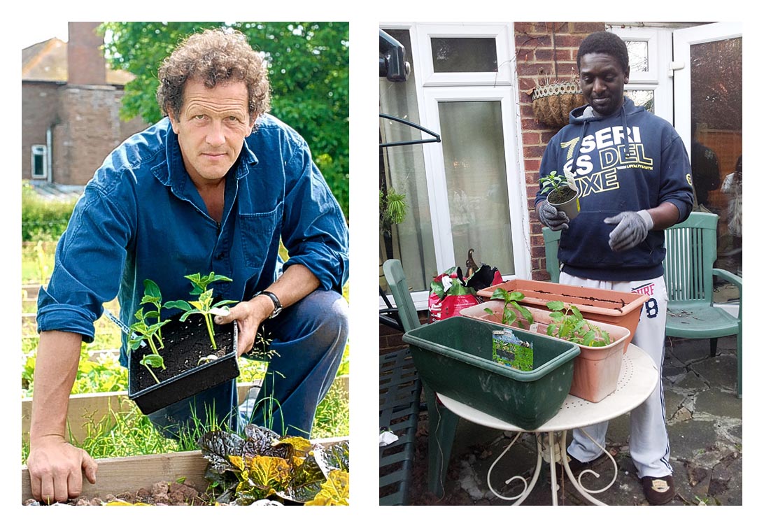 Selbizs: Grow Your Own Five a Day