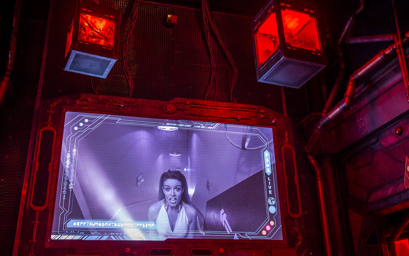 The Monsters After Dark