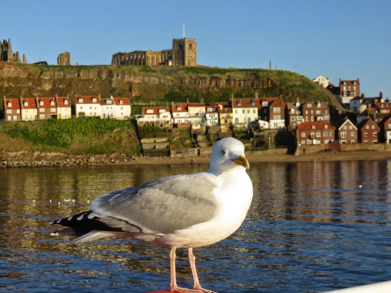 Heart Shaped: Whitby revisited