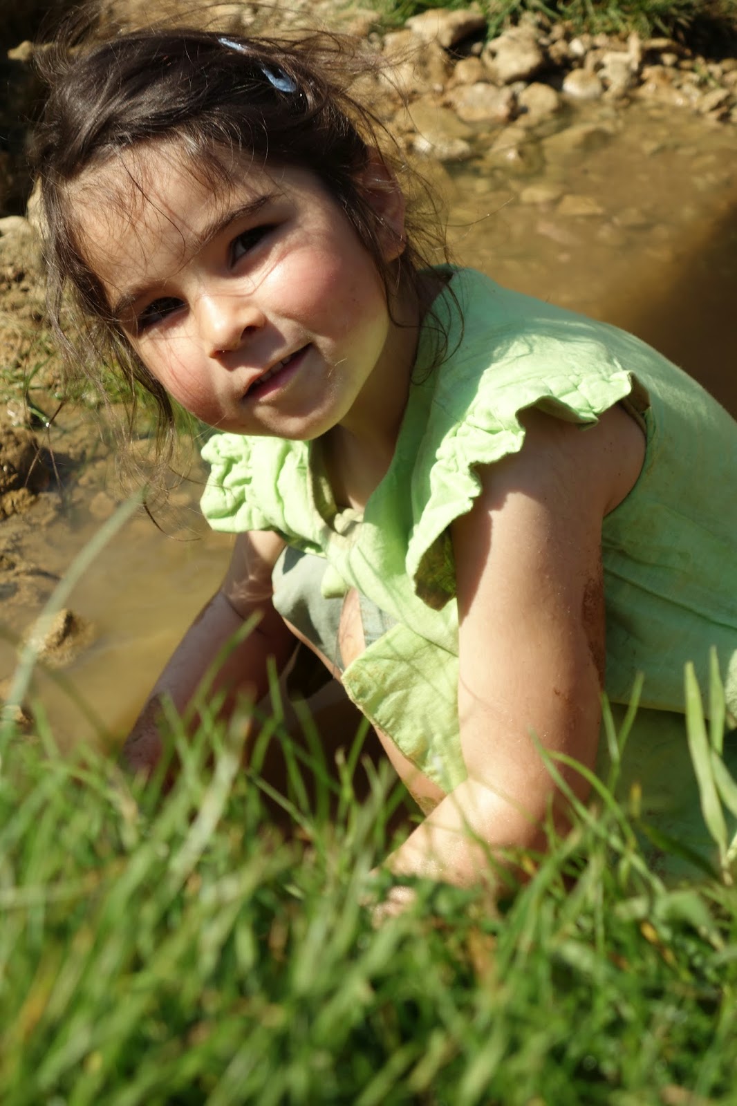 Fairies, Straight Grain, Nani Iro and a GIVEAWAY - As it Seams