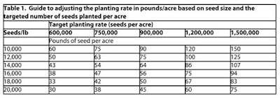 Seeding Rates in Wheat