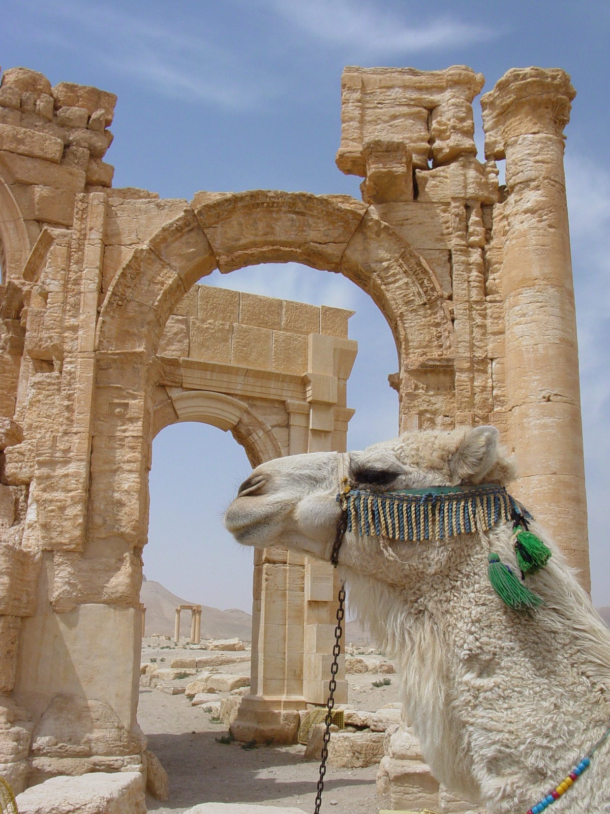 1000 Amazing Places: #952 Palmyra (Tadmor), Syria