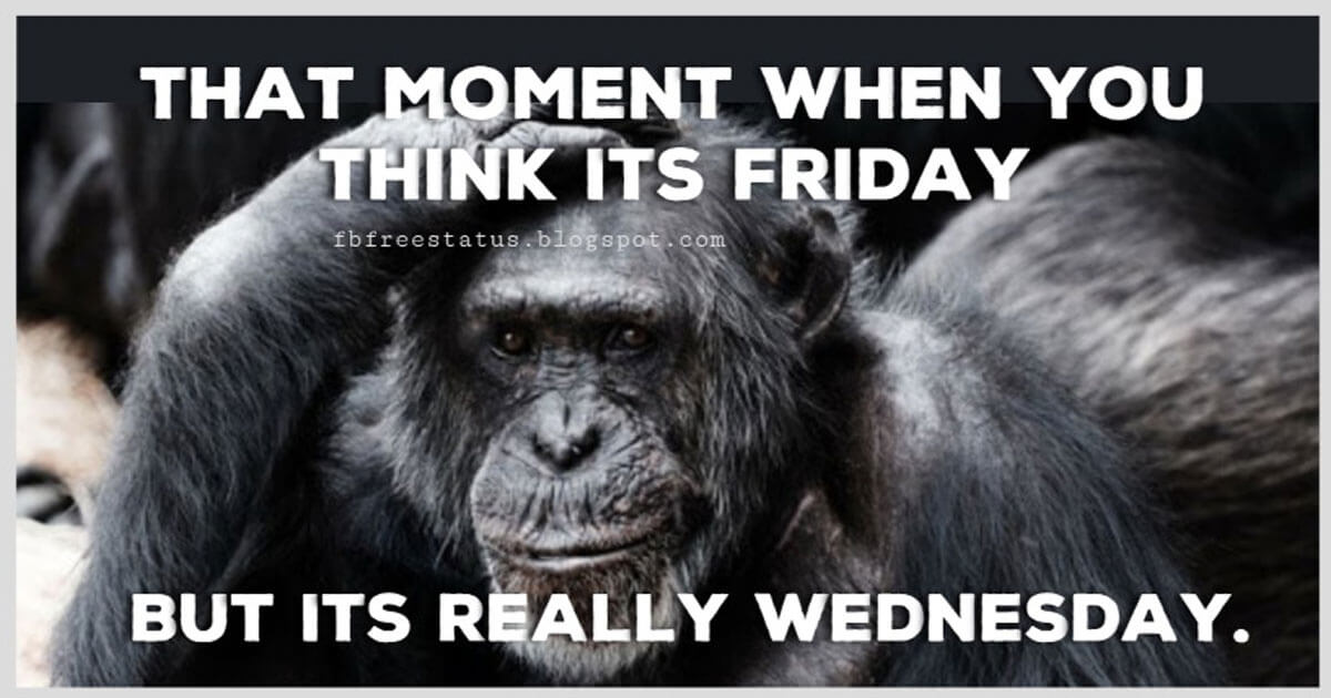 Funny Wednesday Meme, Images, Pictures And Photos
