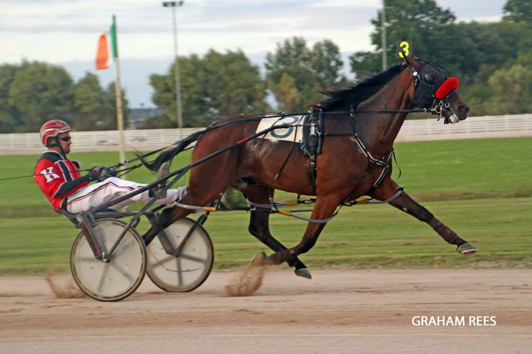 Harness Racing in the UK: 2016 Season: Week 14 - Breeders Crown ...