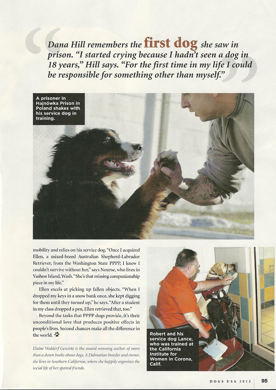 PRISON DOG PROGRAMS ~ BRIDGES and PATHWAYS of COURAGE: HEART HEALERS ...