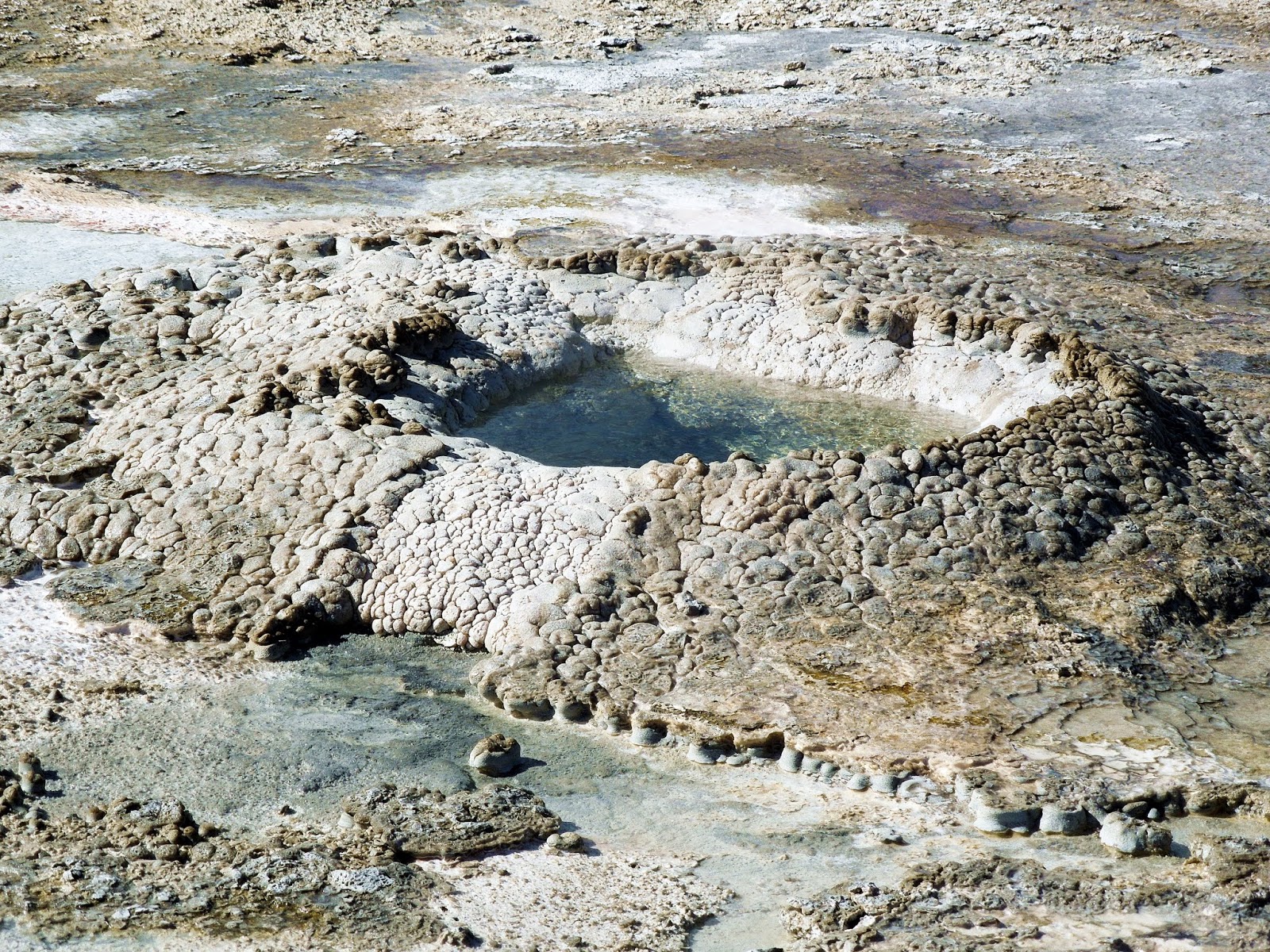 Focusing On Travel : Yellowstone: A Geyser Gazers Guide to the Upper ...