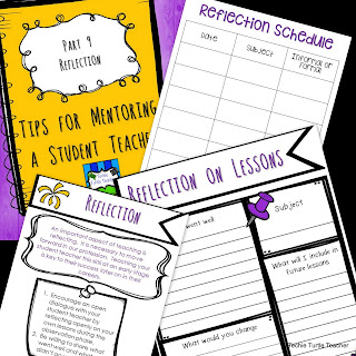 Tips for Mentoring a Student Teacher - Reflect on Lessons