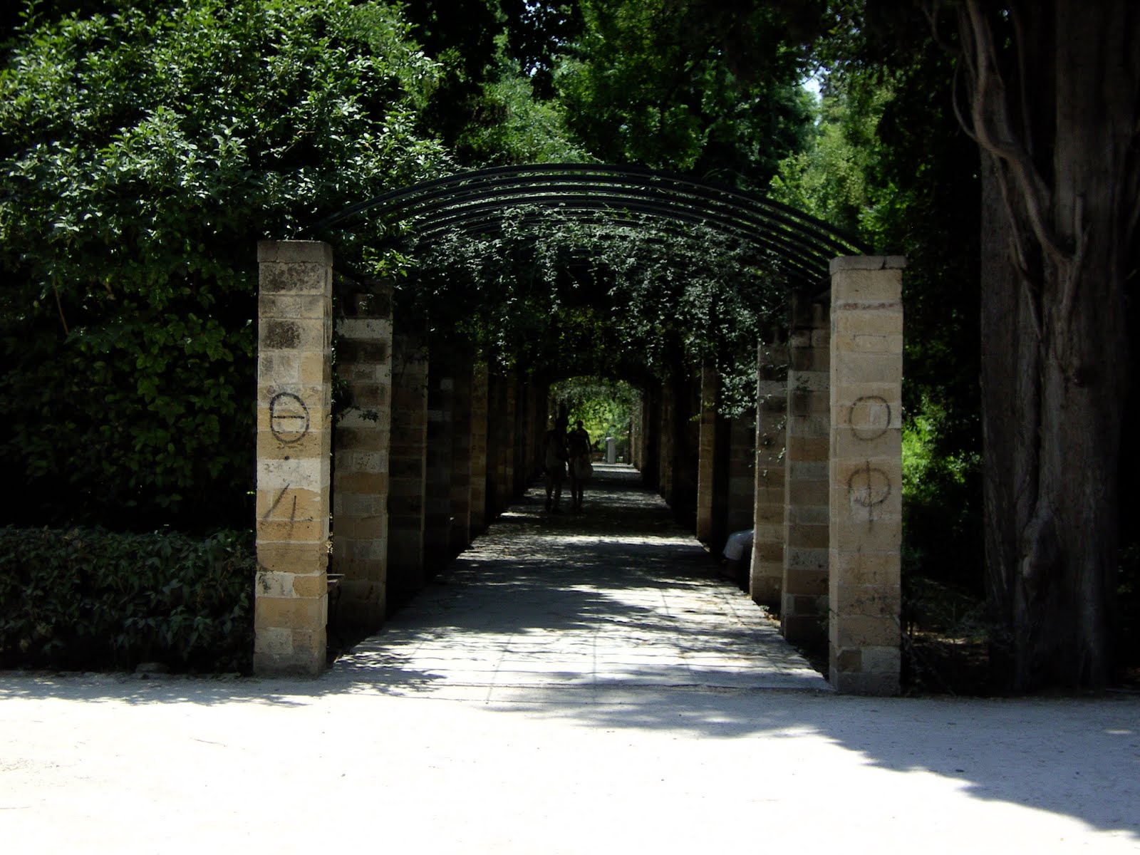 jan1448: Εθνικος Κηπος, η περγγολα απο τις ουασιγκτονιες ως την προς ...