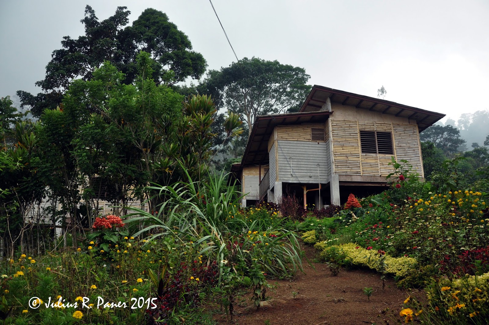 LOGSAC: A remarkable revisiting of the Tibolo Cultural Village