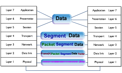 cisco exam hub: OSI Reference model