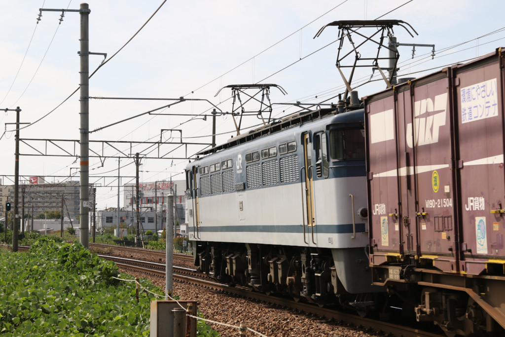 線路際の小さな幸せ: 5087レ EF65 2094 白プレ参上！ 日通のRSV、オホーツクタマネギ