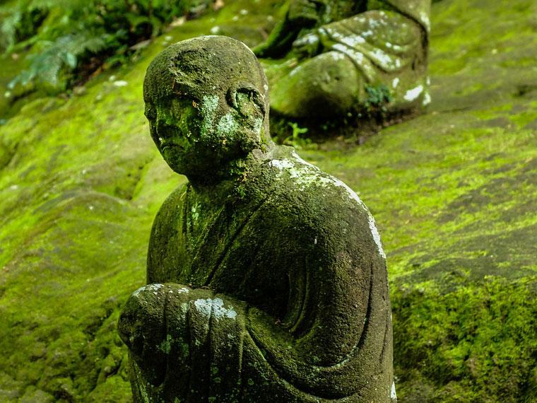 Biblioteca Pública de Gines: LAS REENCARNACIONES DEL DALÁI LAMA
