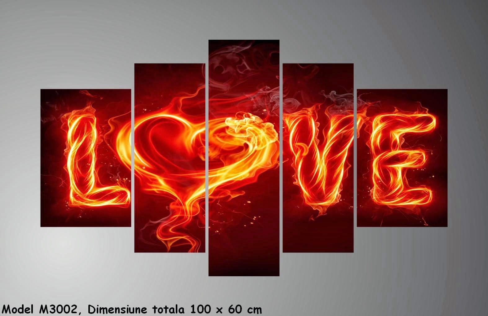 Tablouri Canvas, Tablouri Moderne, Tablouri Decorative, Tablouri ...