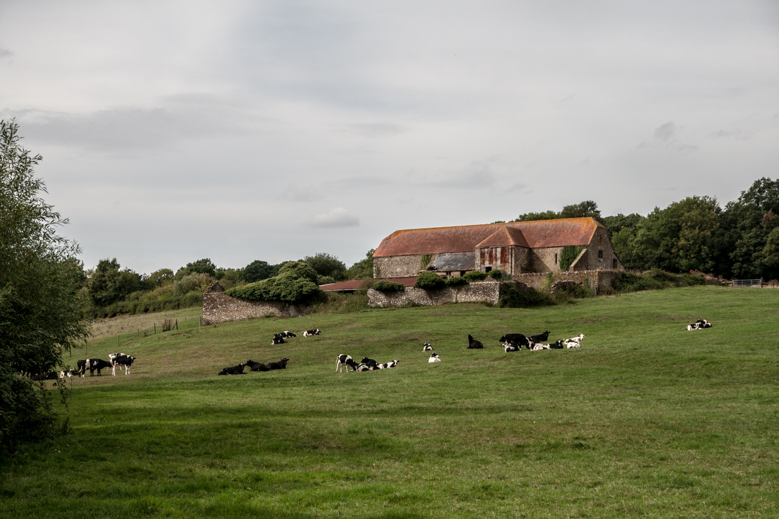 Walking Dorset's gridsquares: Stalbridge - 30th August 2018