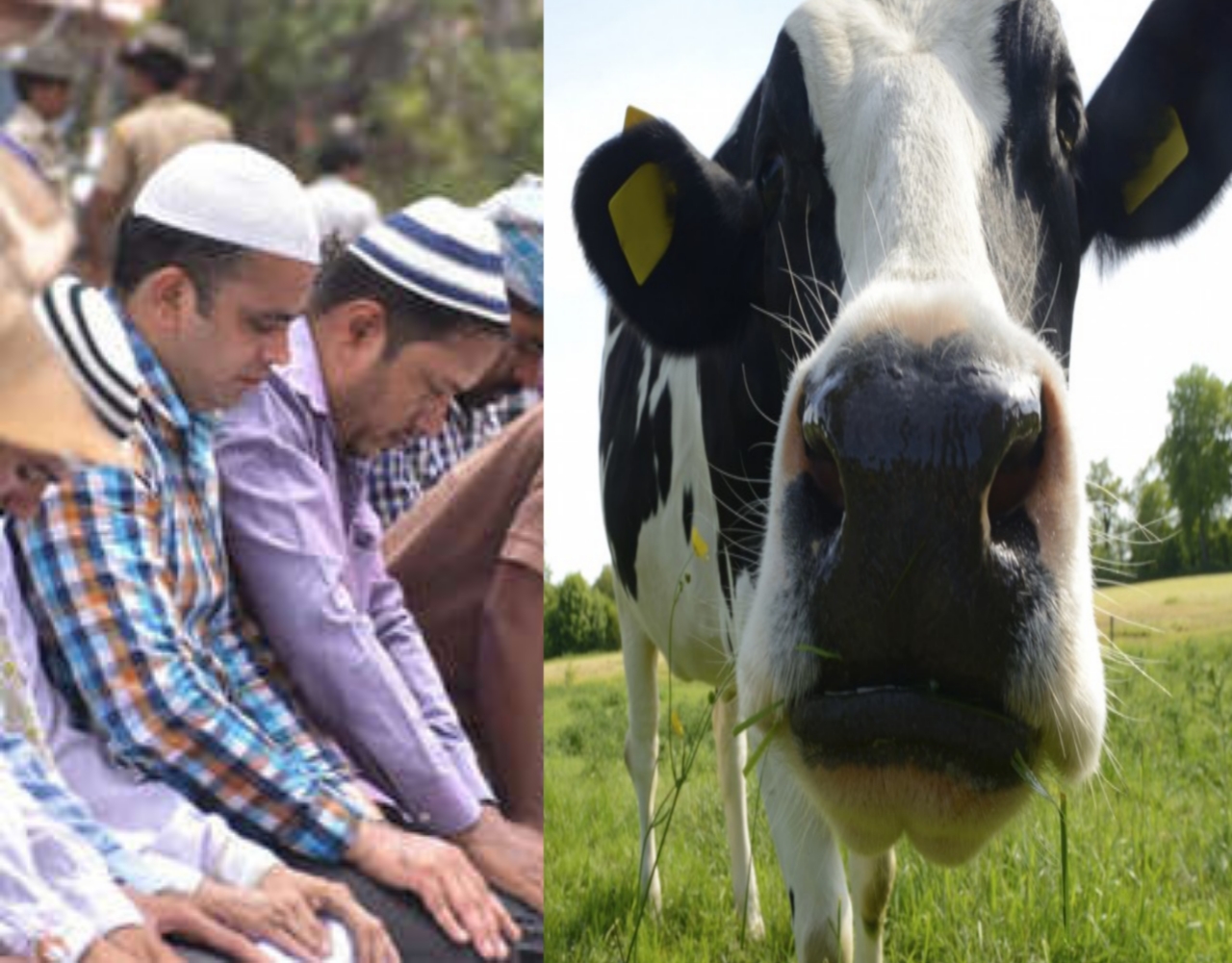 muslim dharm, यहां पर मुस्लिम दाढ़ी भी नहीं रखेंगे और नमाज भी नहीं पढ़ेंगे