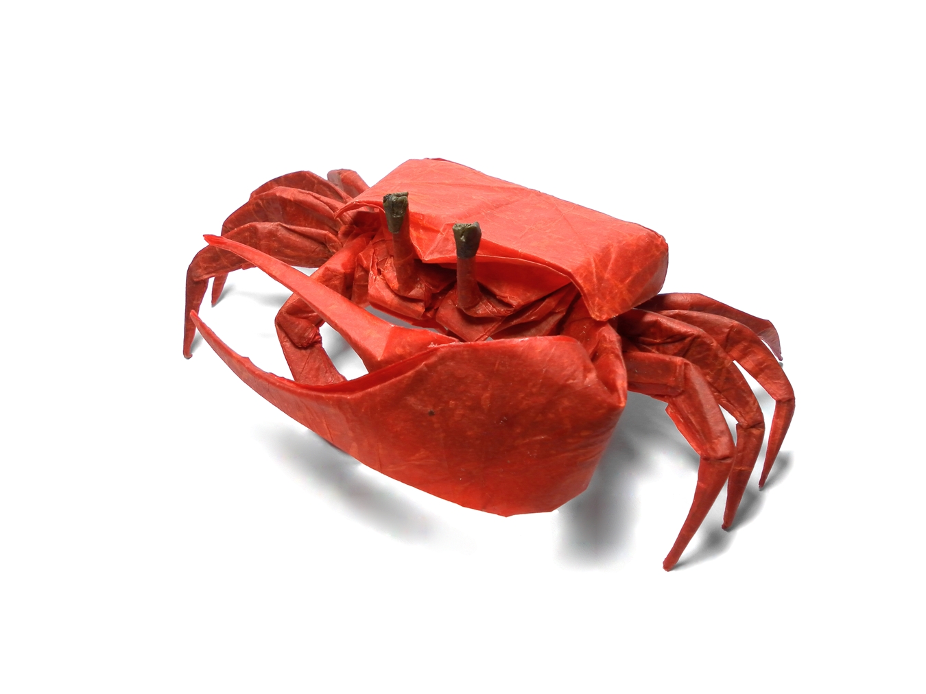 Mariano-Mi mundo el Origami: Fiddler Crab
