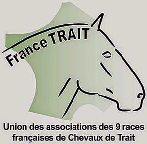 Percheron International: France Trait, Le Coup De Tonnerre