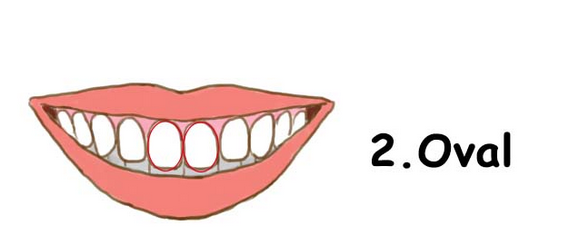 Membaca Karakter Diri Melalui Bentuk Gigi - Tribun-medan.com