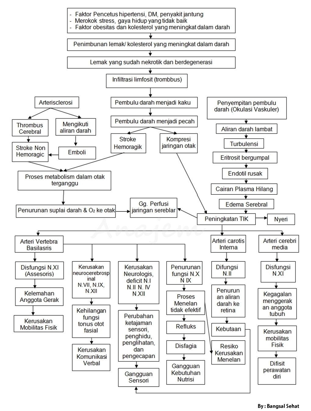 Laporan Pendahuluan / LP Stroke Lengkap, Download Dalam Bentuk File Doc dan Pdf