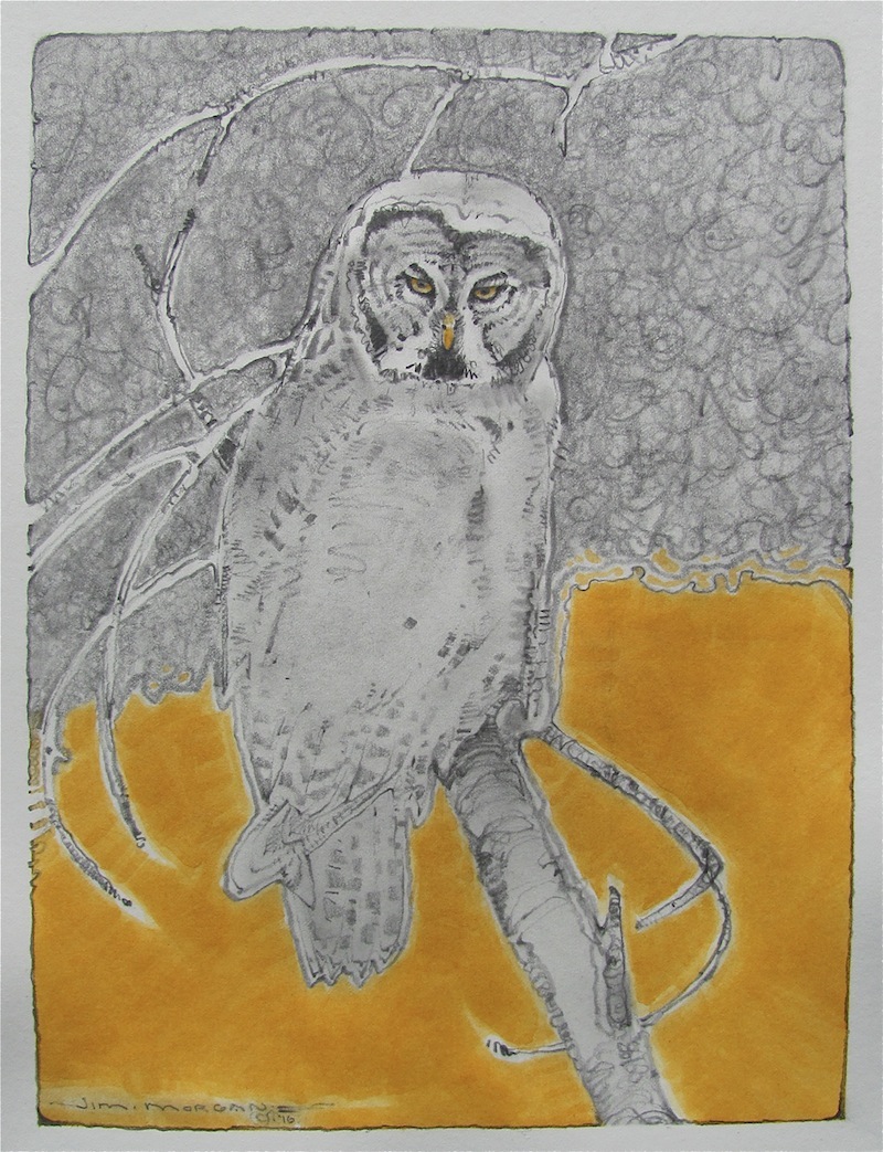 Jim Morgan Art: Current Works