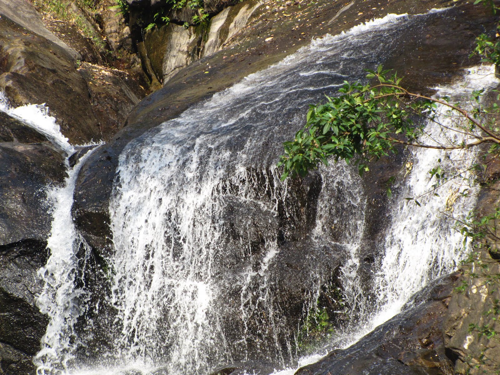 Karthik's Wander: Trip around Pollachi