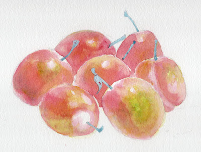 Stoneflower: Seven Plums - watercolour demonstration