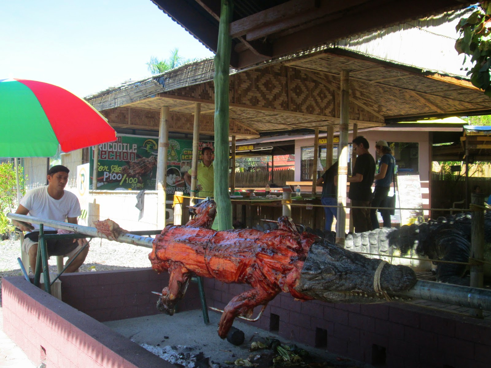 i am Ai: Four Things Why I Won't Forget My Davao Crocodile Park Visit