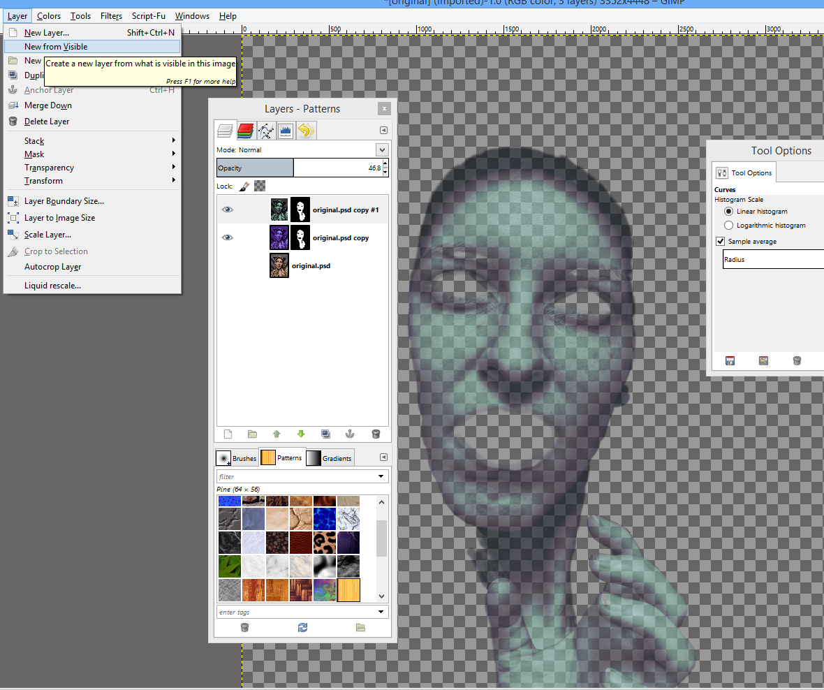 Jeannie Nadja Studios: Gimp Zombie Tutorial