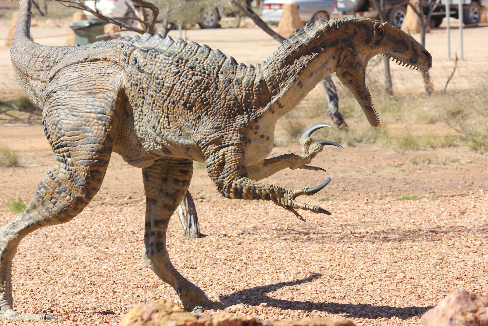 Birdwatching Tropical Australia: Birds and Dinosaurs - 4th to 8th August