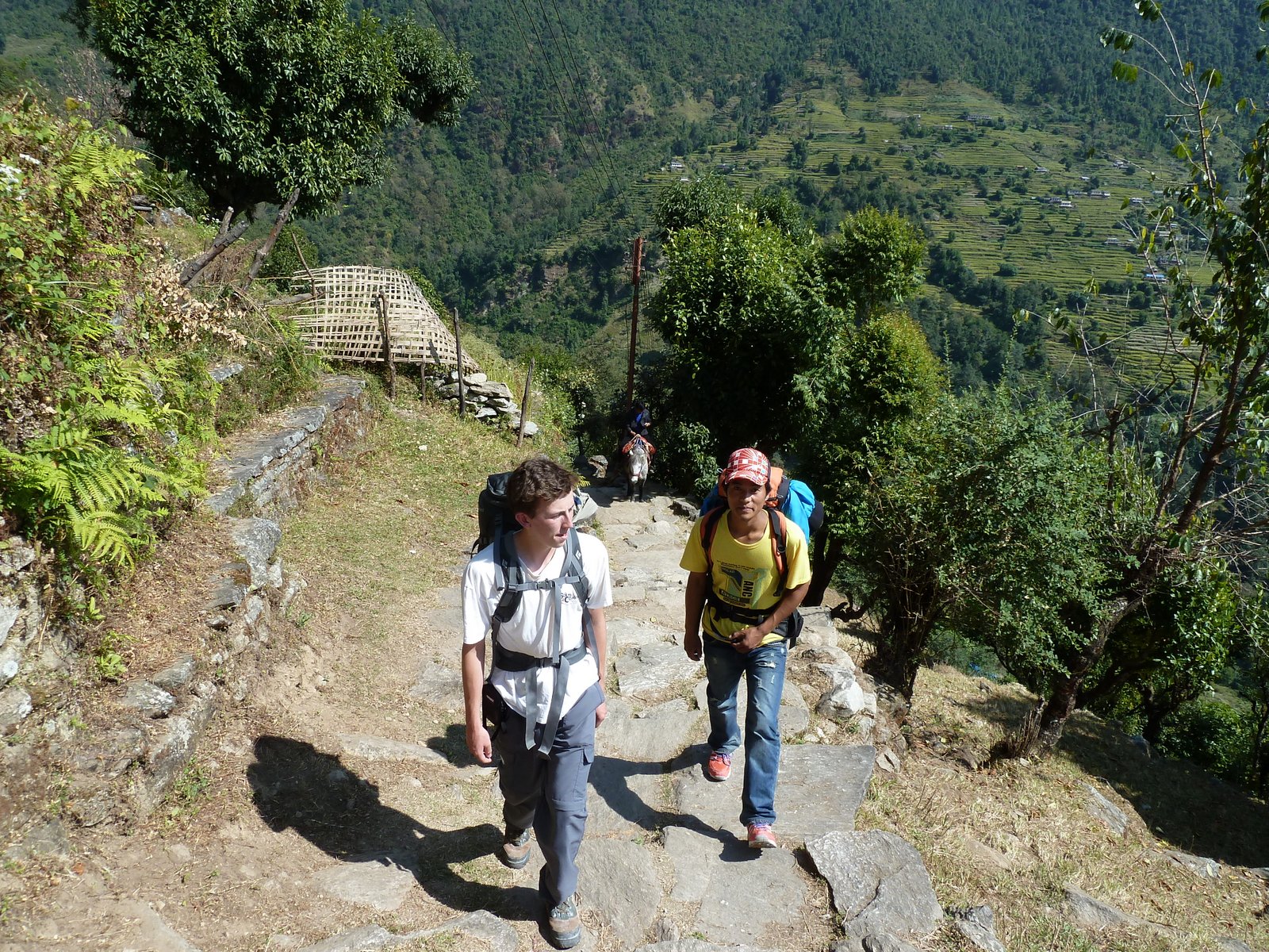 Colin On Sabbatical: Trekking Day 1 - Nayapul to Ulleri